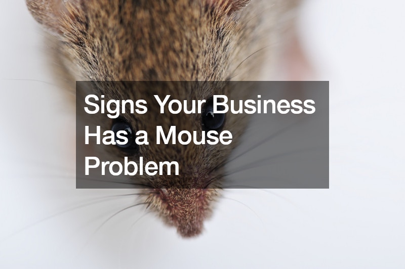 Signs Your Business Has a Mouse Problem - Find Veterinarian Clinics